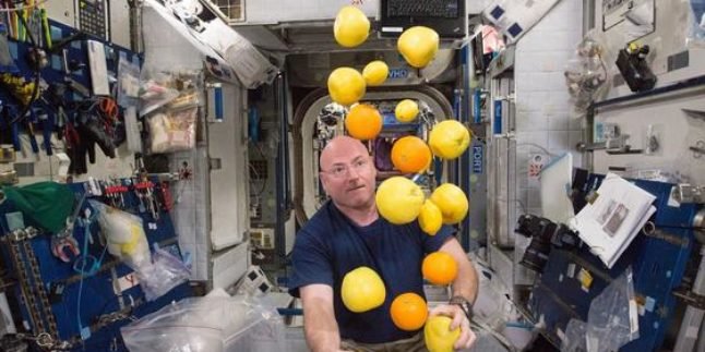 Selfies im All und Forschung im Orbit – Rabea Rogge ist zurück