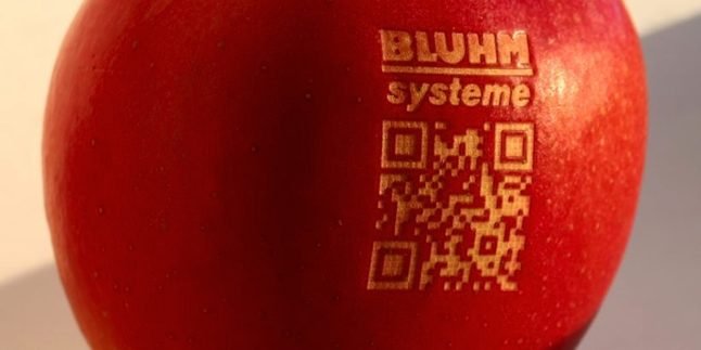 Etiketten direkt in die Schale von Kartoffeln und Avocados lasern