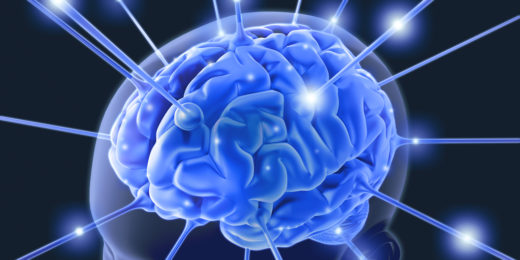 Gehirne lösen Aufgaben gemeinsam: Mittels Hirn-zu-Hirn-Interface