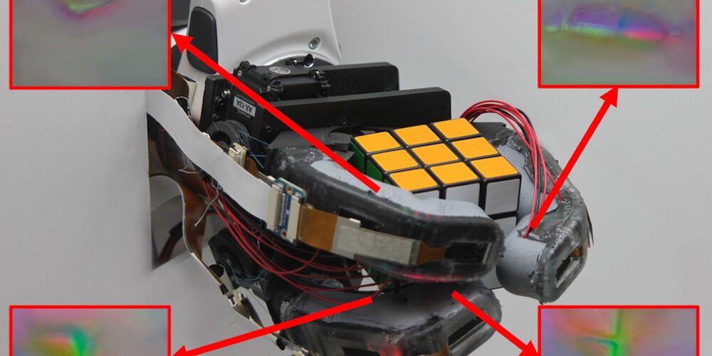 Dribbelnde Vierbeiner und sensible Hände