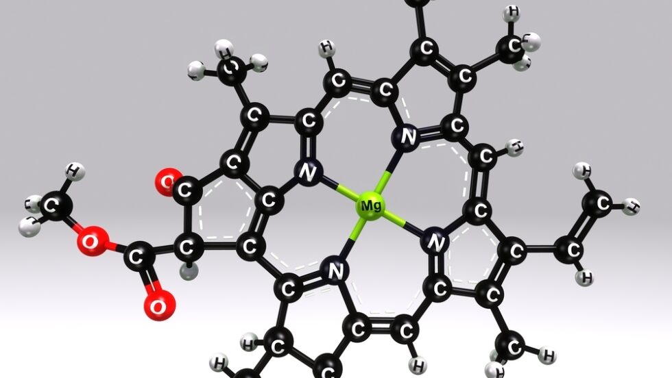 25 berühmte deutsche Chemiker und ihre Erfolge für die Wissenschaft