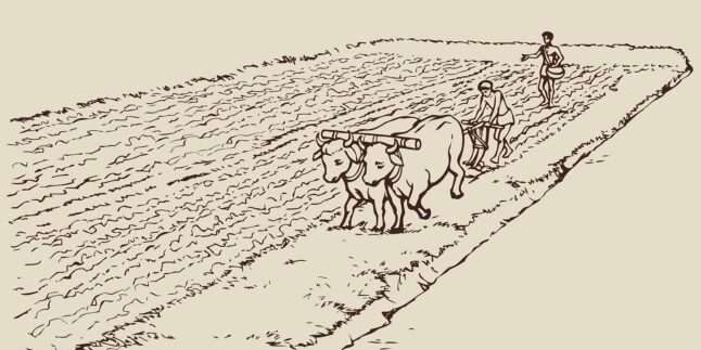 Die Saat des Imperiums: Agrartechnik in der Römerzeit