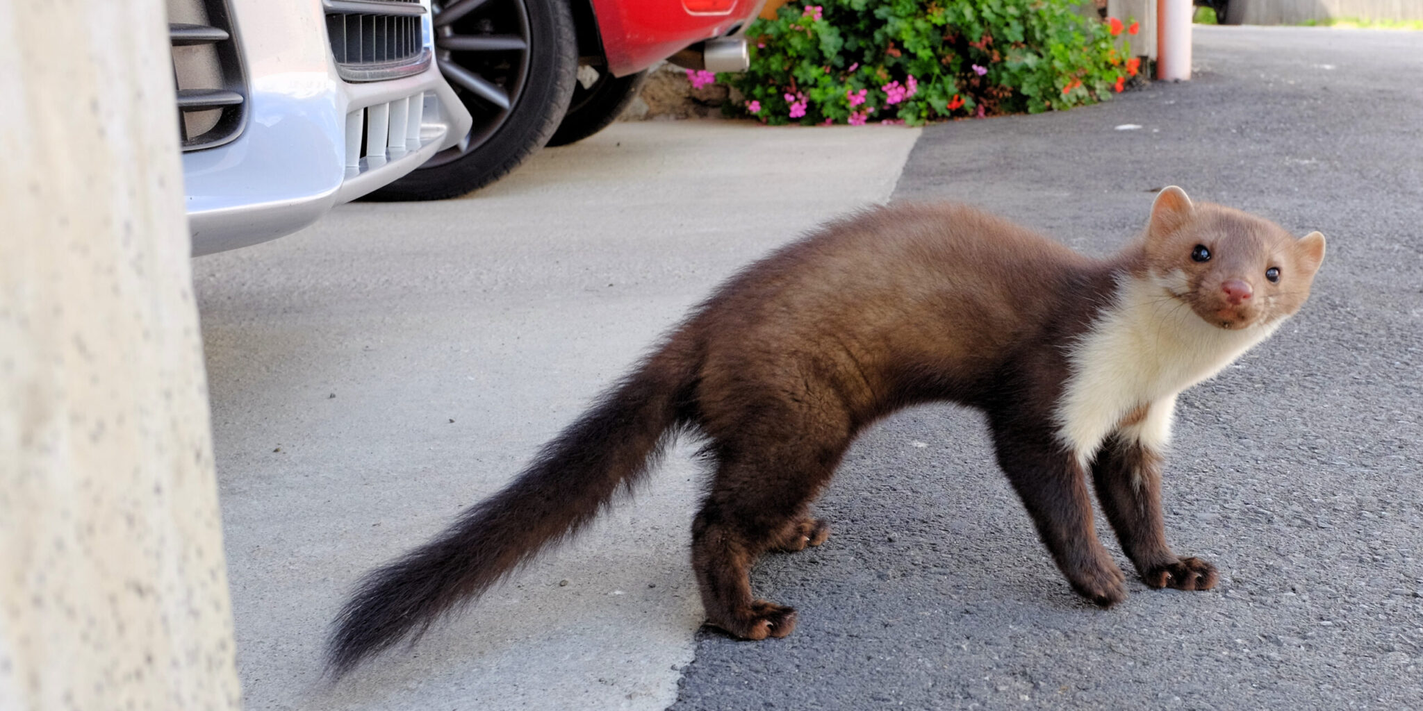 Masterplan 2030: Wird Laden so einfach wie Tanken?