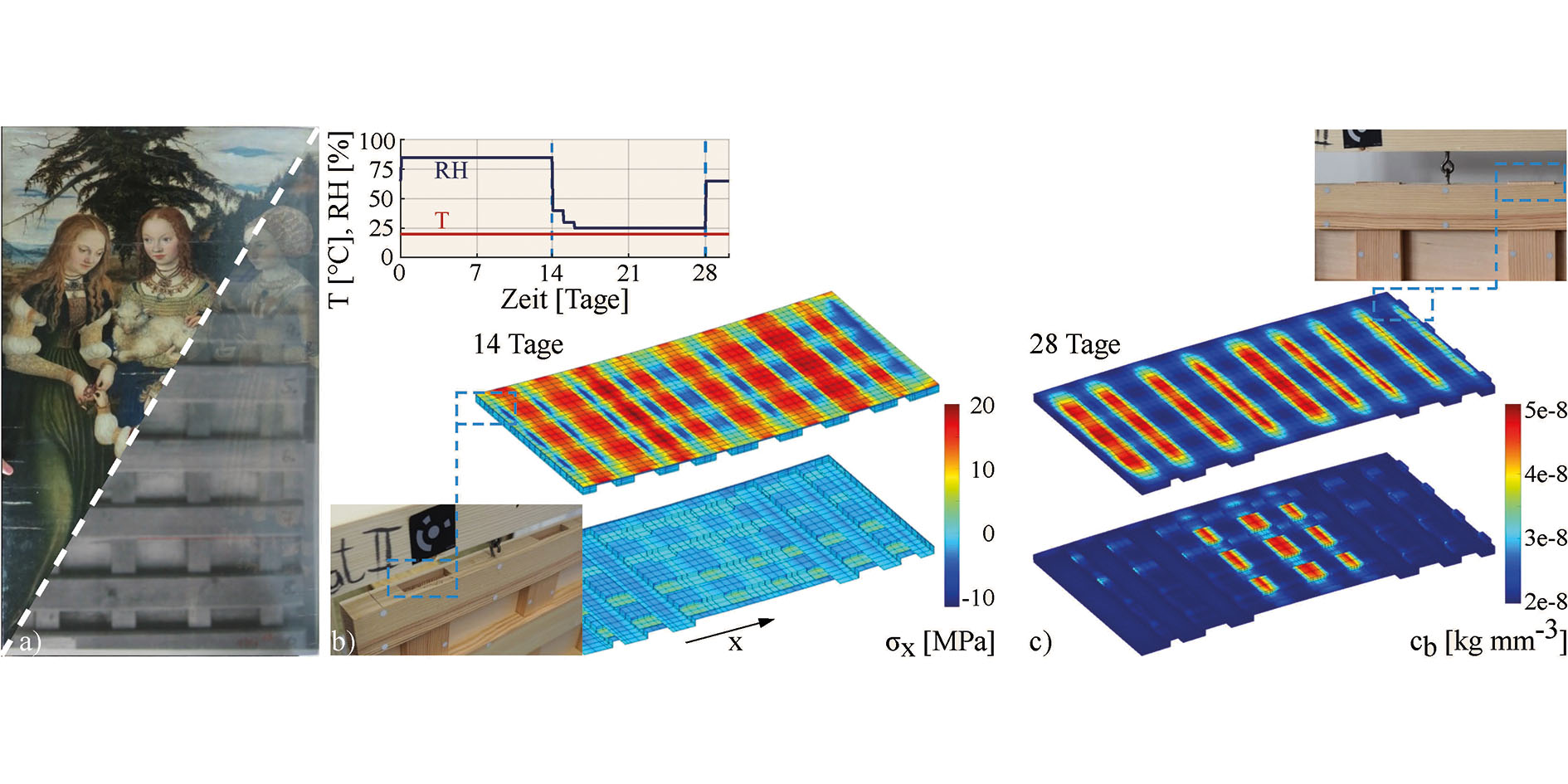Realitätsnahe Modellierung und Simulation von Strukturen aus Holz