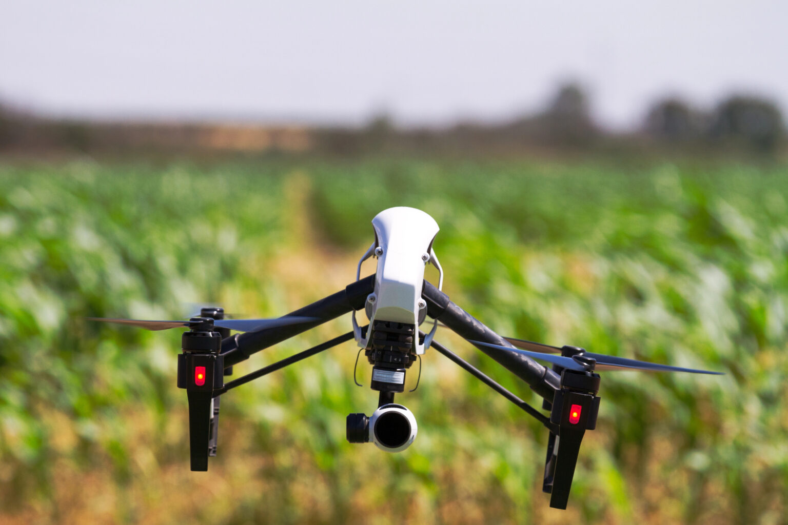 Smart Farming: So funktioniert digitale Landwirtschaft