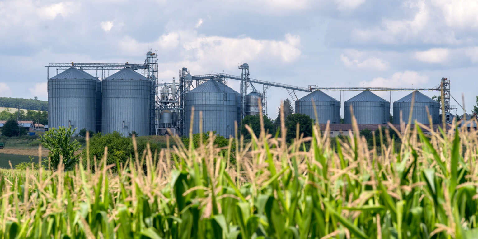 Smarte Bioraffinerie kombiniert verschiedene Verfahren