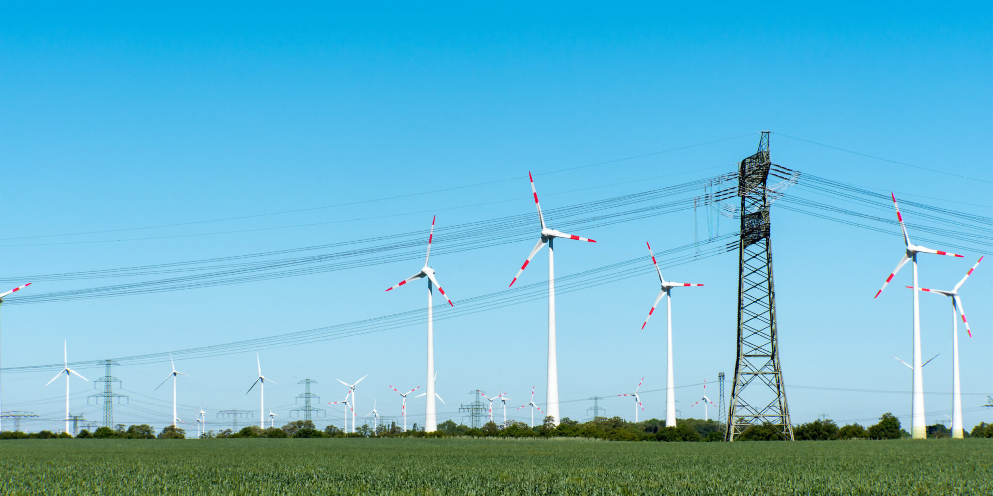 Windkraft in Deutschland 2024: ein Rekordjahr im Überblick