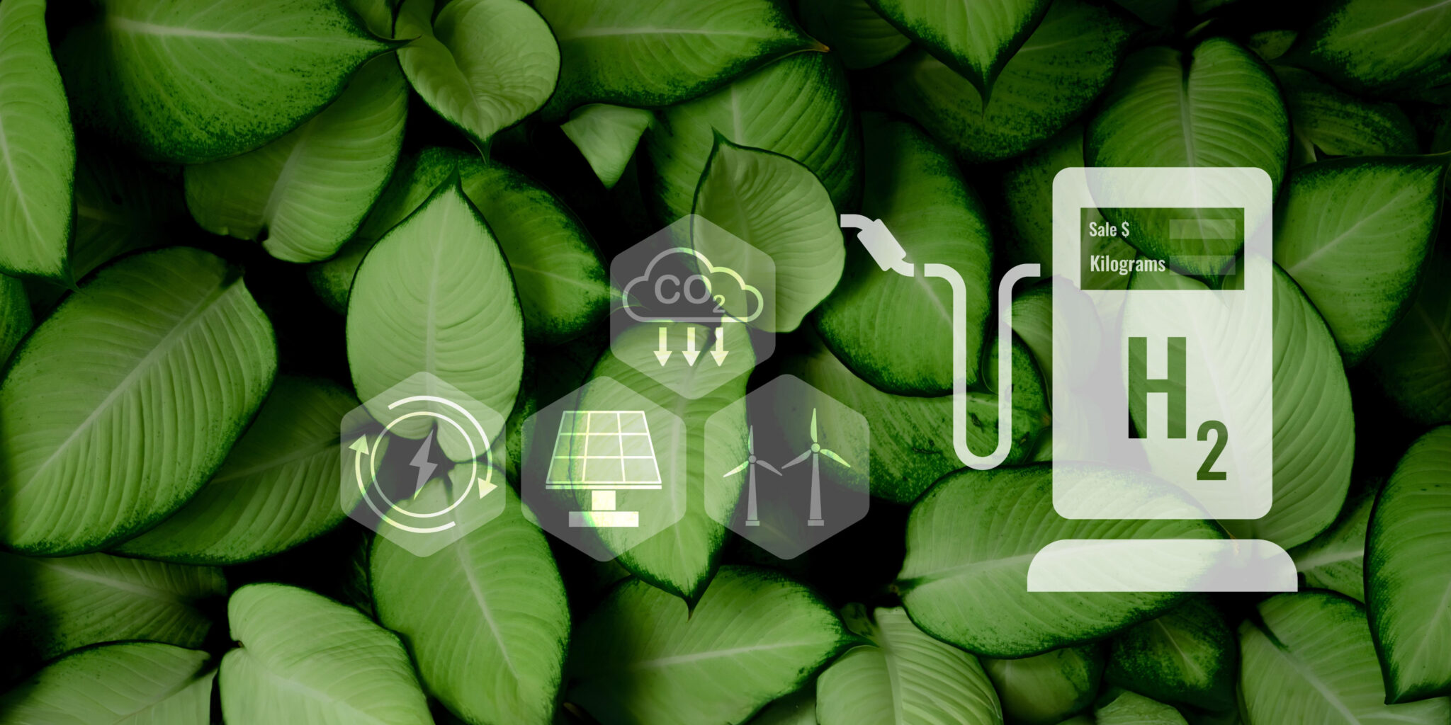 Wasserstoff: So lässt sich die Effizienz der Elektrolyse steigern