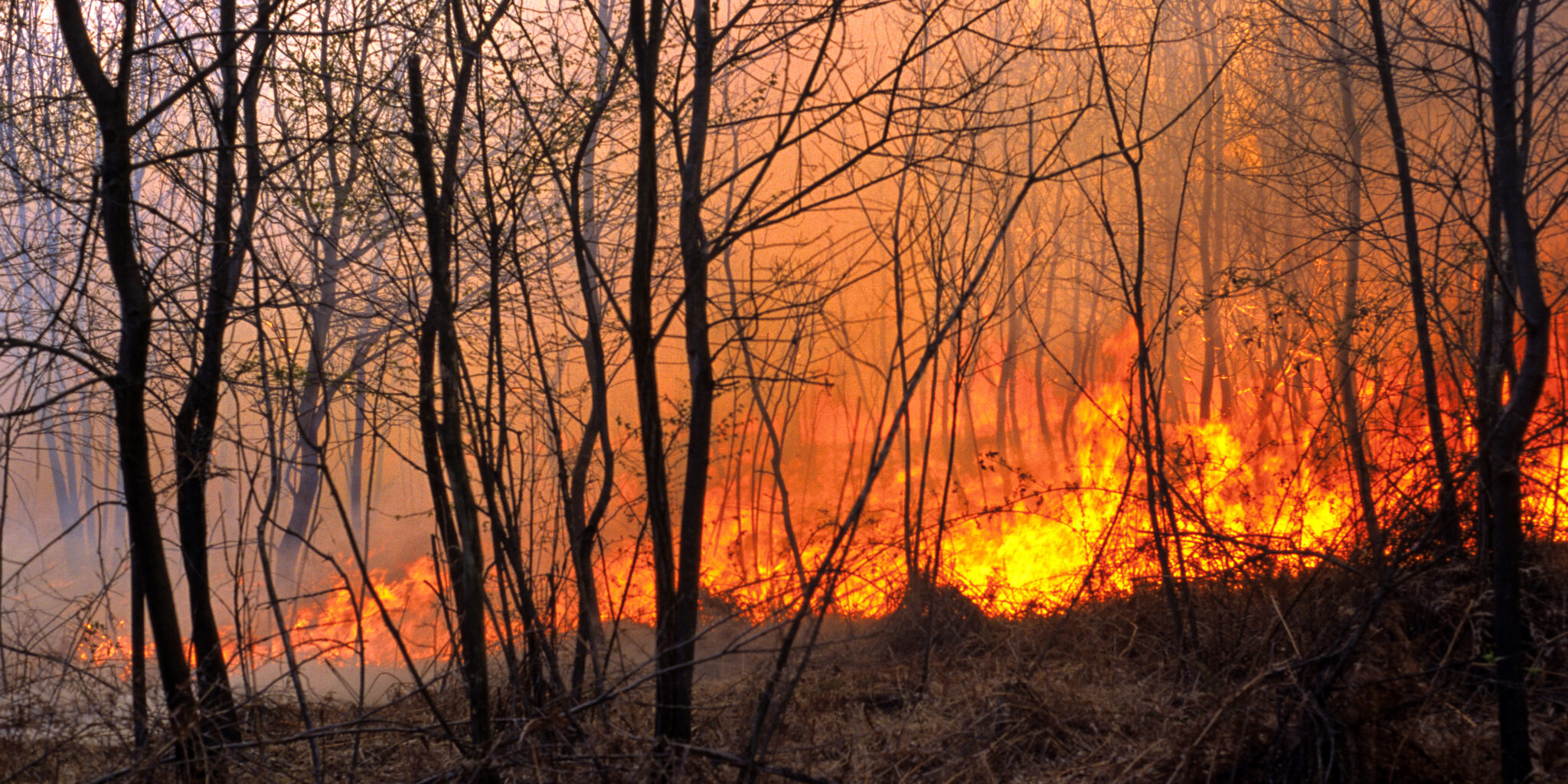 Wirbelstürme verstehen: Wie Taifune, Hurrikane und Zyklone entstehen