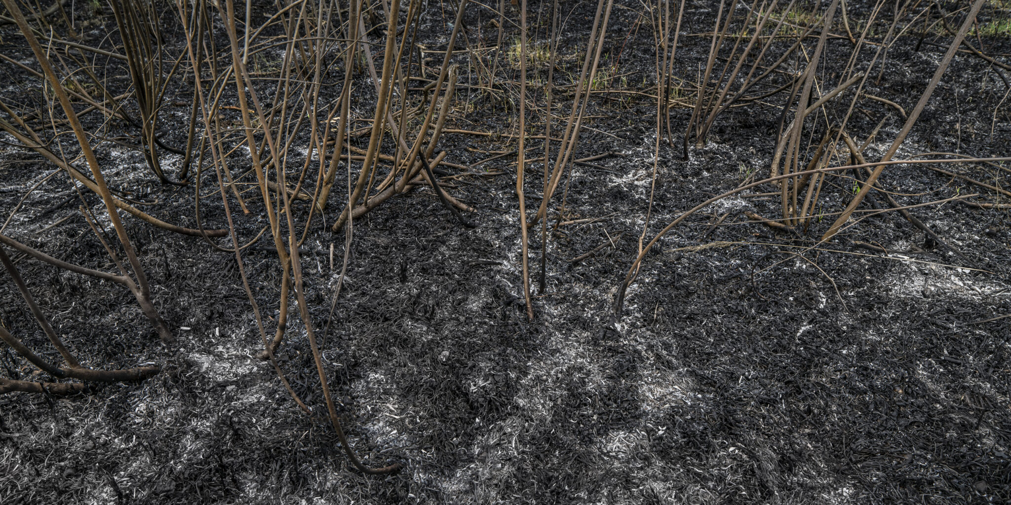 Wirbelstürme verstehen: Wie Taifune, Hurrikane und Zyklone entstehen