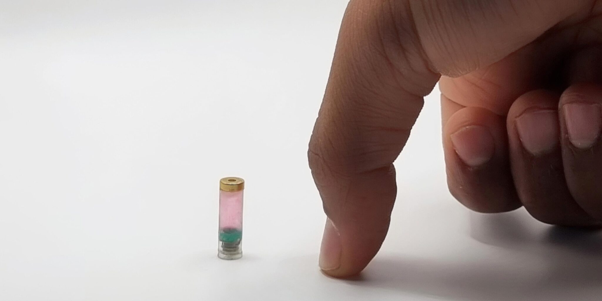 Bioprinting zum Schlucken: Die erste Pille, die Gewebe im Körper druckt