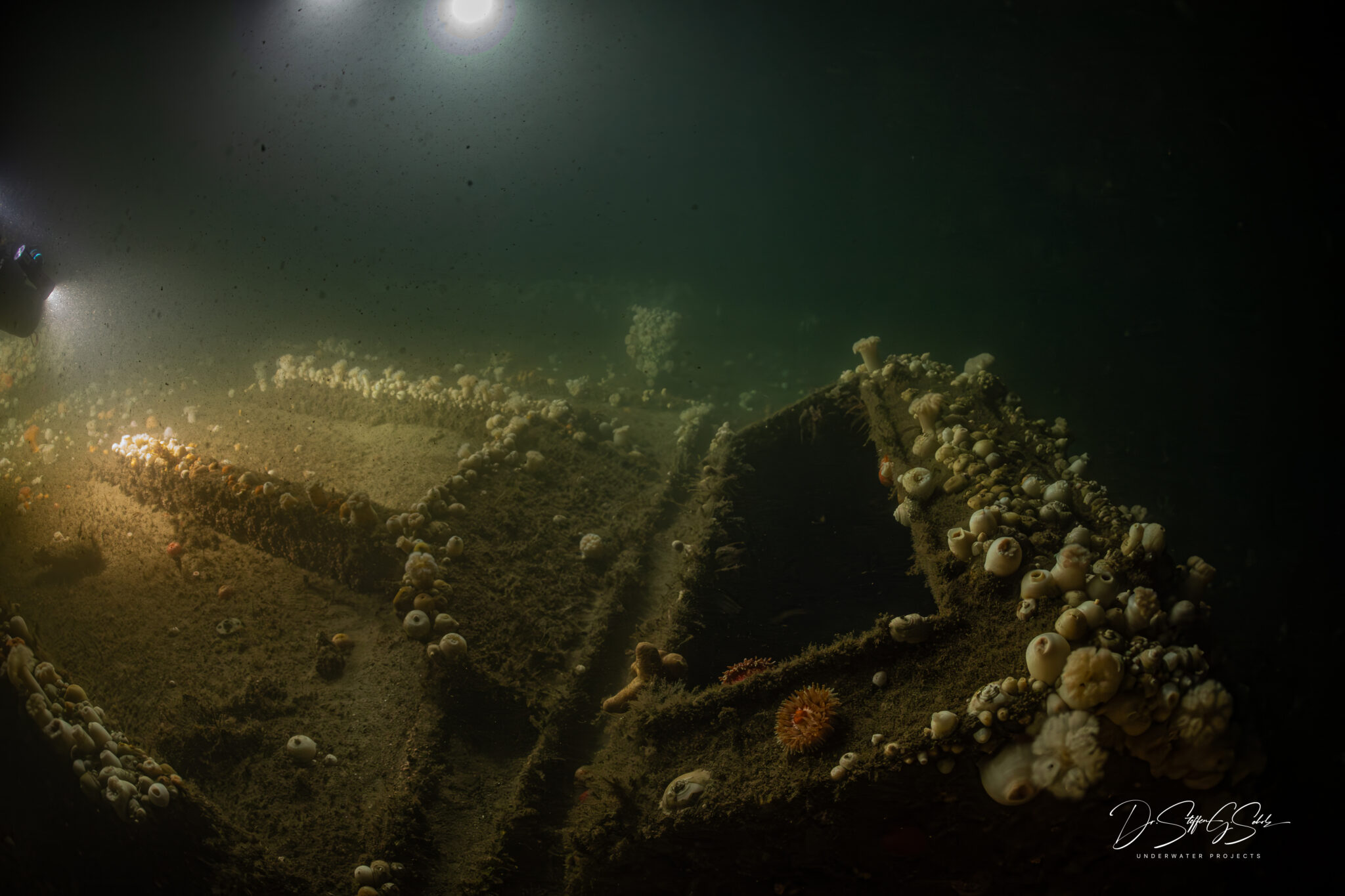 Ein deutscher Torpeto, 200 Tote: HMS Bayano nach 110 Jahren entdeckt